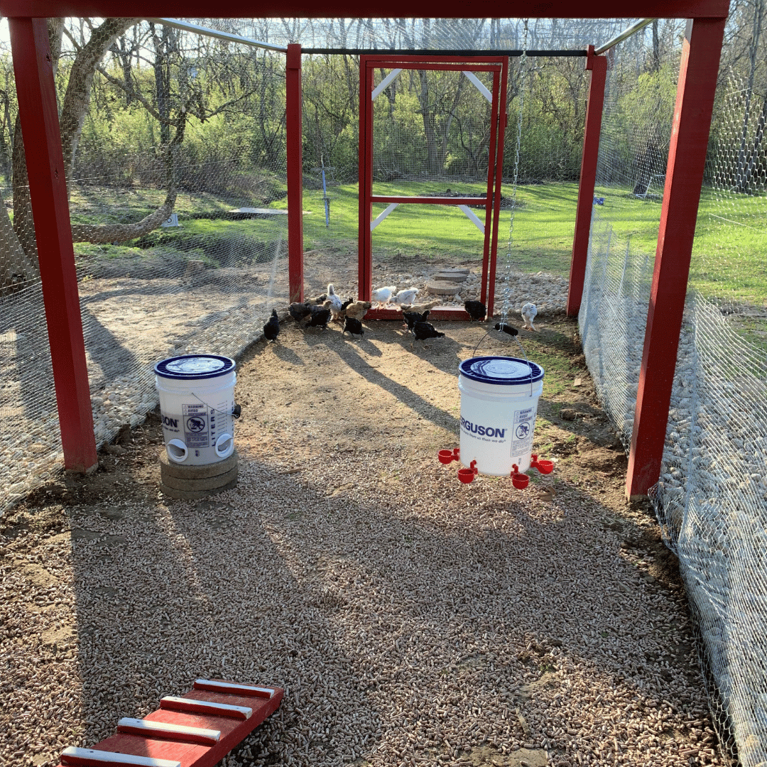 Repurposed Playhouse Turned into a Chicken Coop